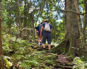 Discover Narooma - Narooma Chamber